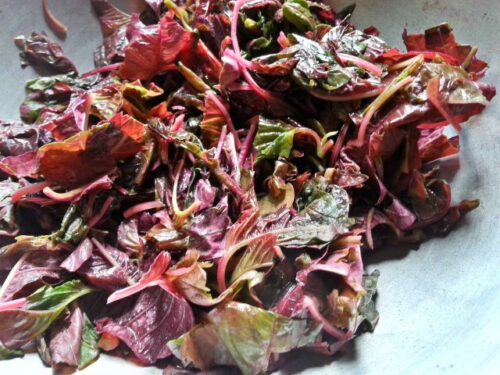 Lal Shak Bhaja Bengali Style – Sautéed Red Amaranth Leaves - Seasonal ...