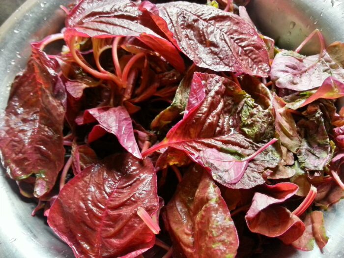 Lal Shak Bhaja Bengali Style – Sautéed Red Amaranth Leaves - Seasonal ...